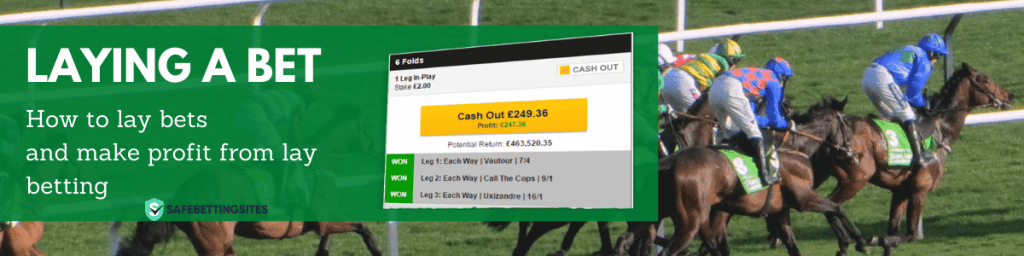 Lay Betting Explained: What is Lay Betting in UK 2025